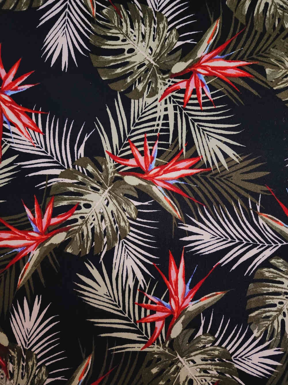 Printed DTY – Strelitzia – Black | Curtain Dream