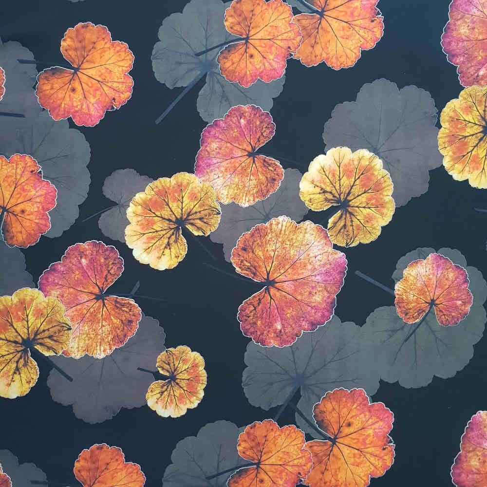 Printed Barbie – Leaves – Black | Curtain Dream