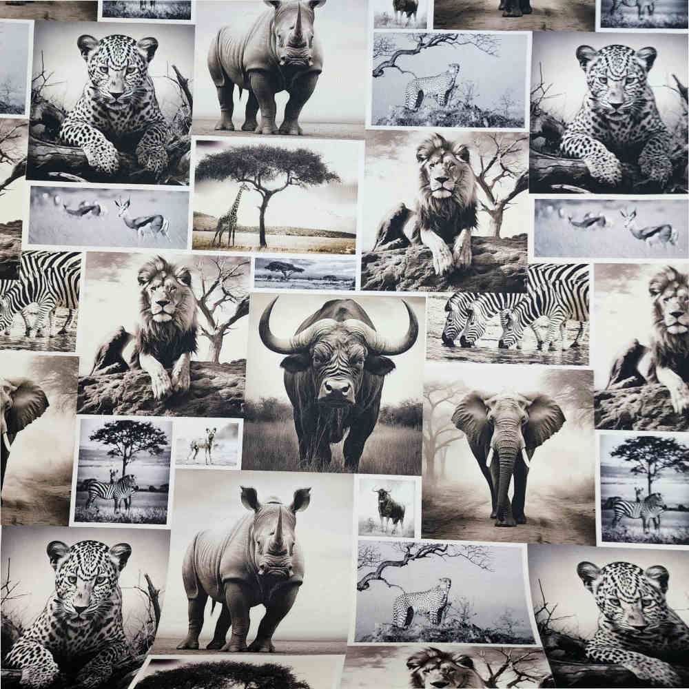 Printed Mini Matt – Postcard – Stone | Curtain Dream